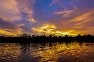 11 Tips for Visiting the Amazon That’ll Prepare You For Your Visit - My ...